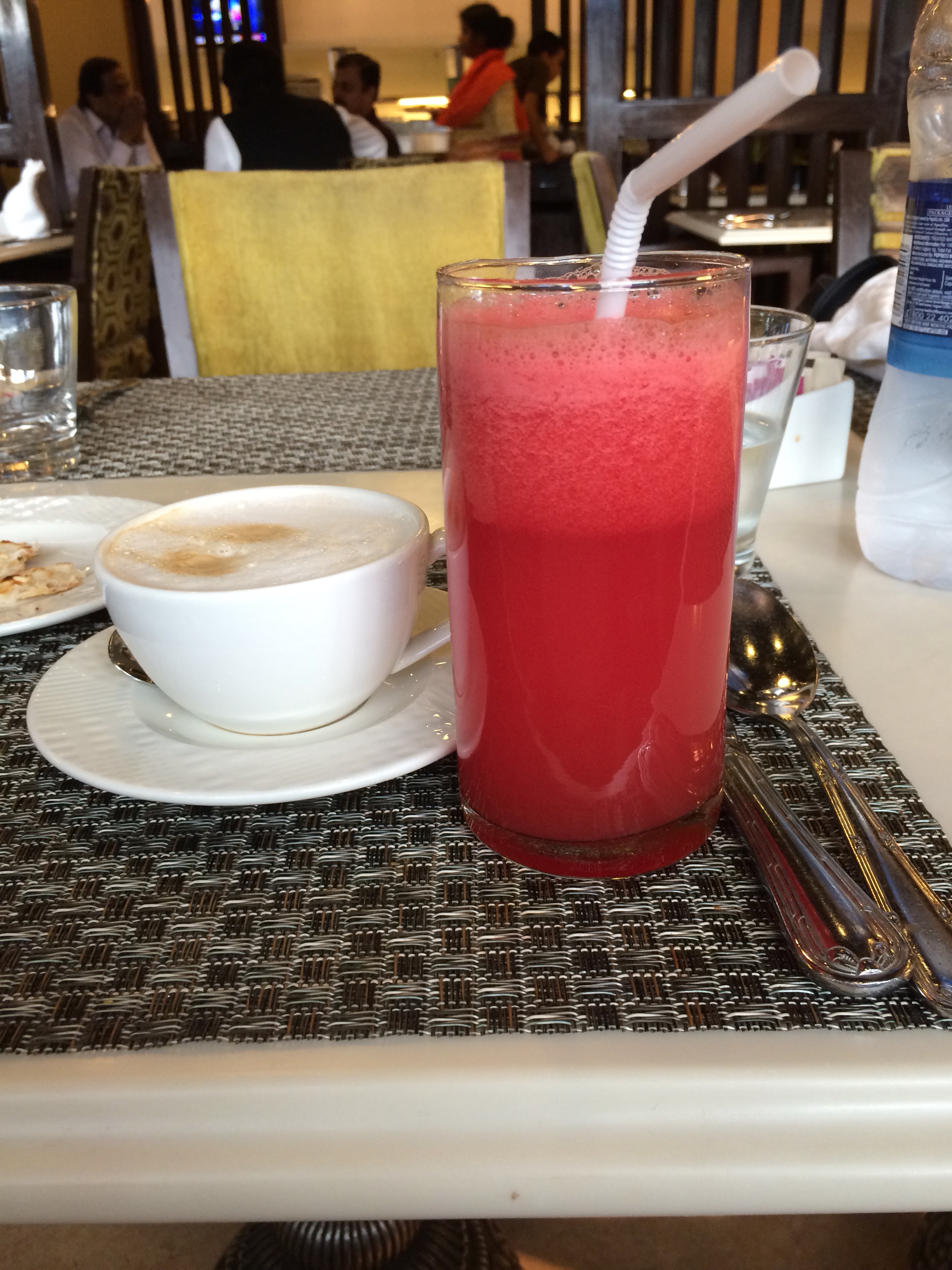 Continued Throwback – Accidental Homesteader